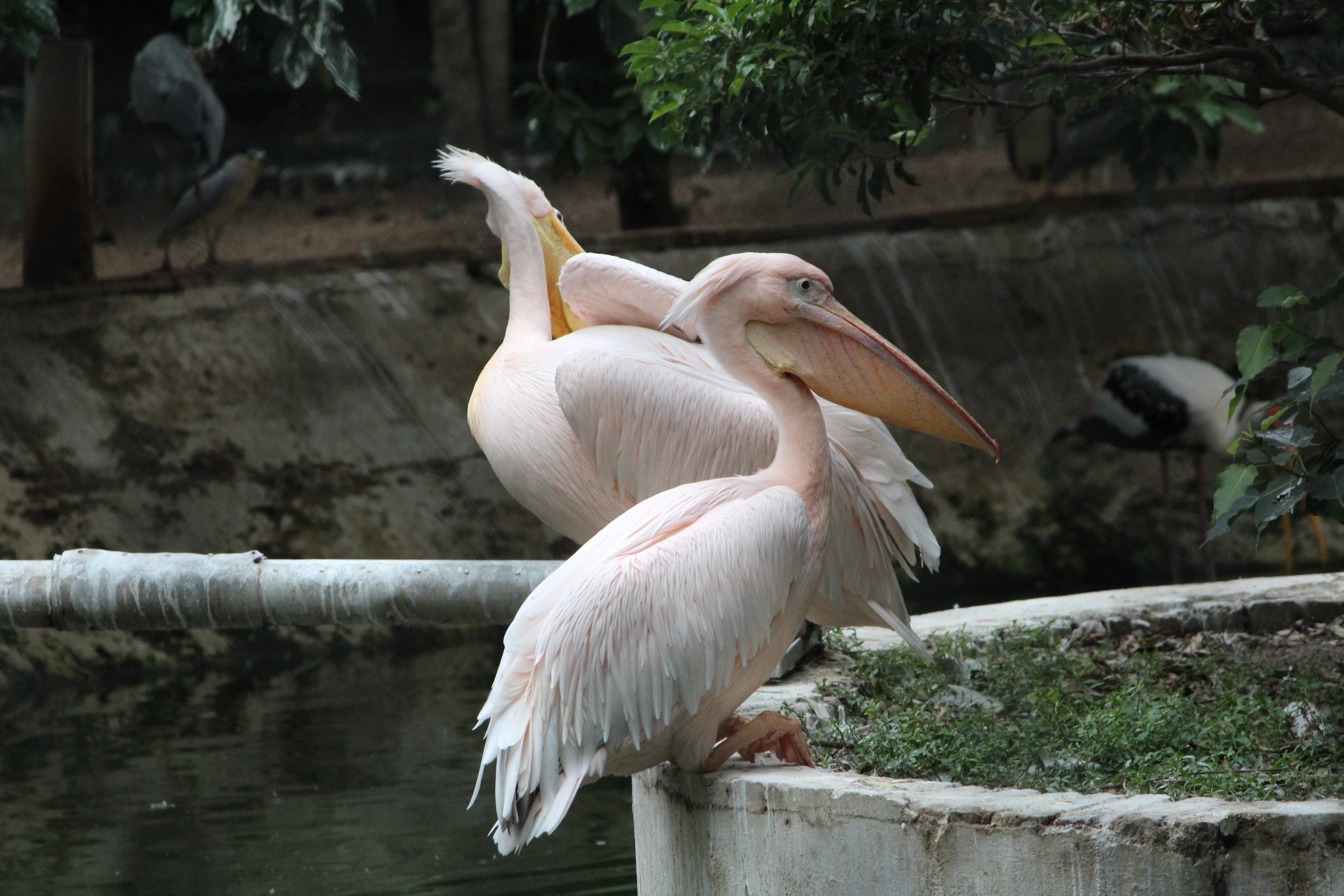 Guindy National Park